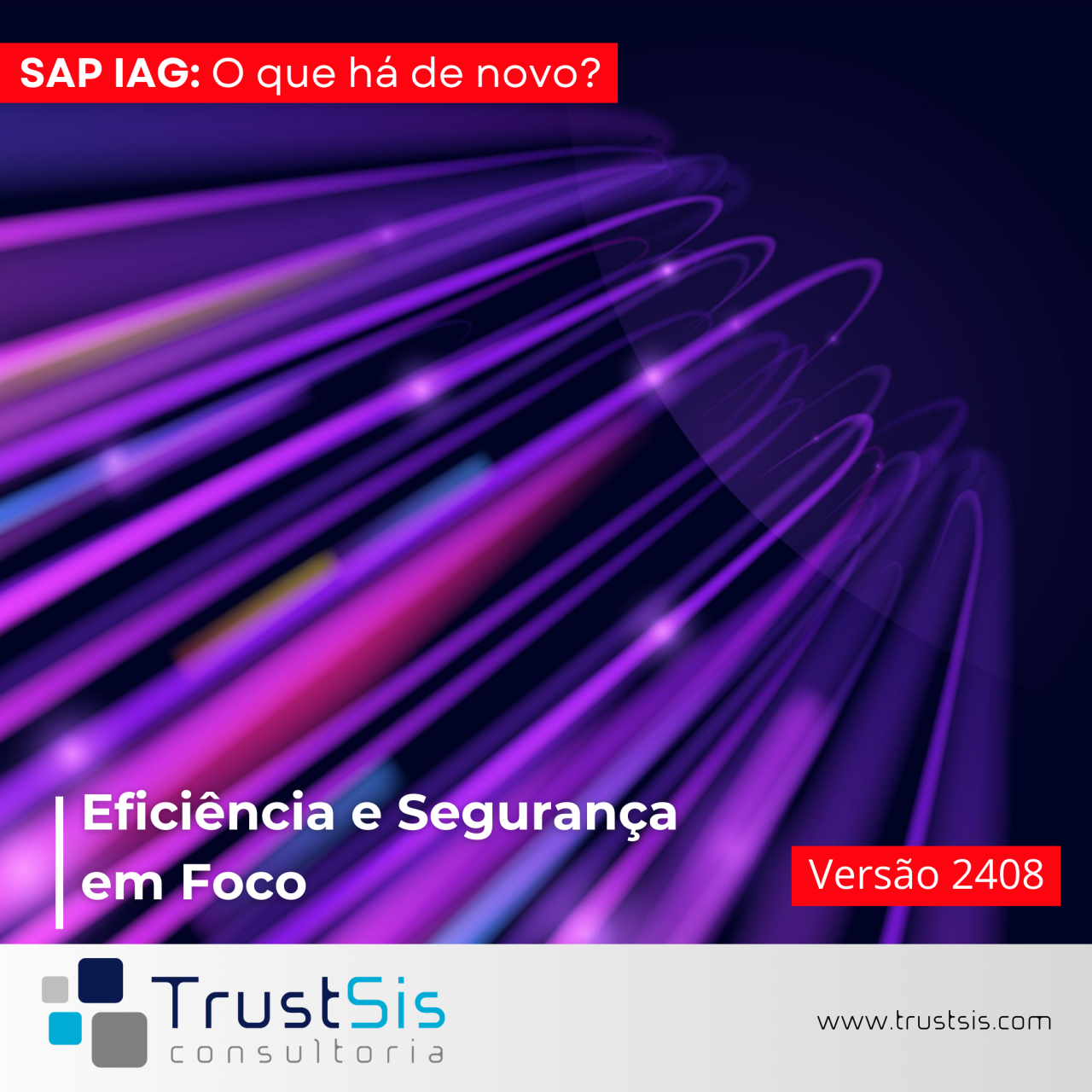 SAP IAG: o que há de novo? Update 2408 - Trustsis